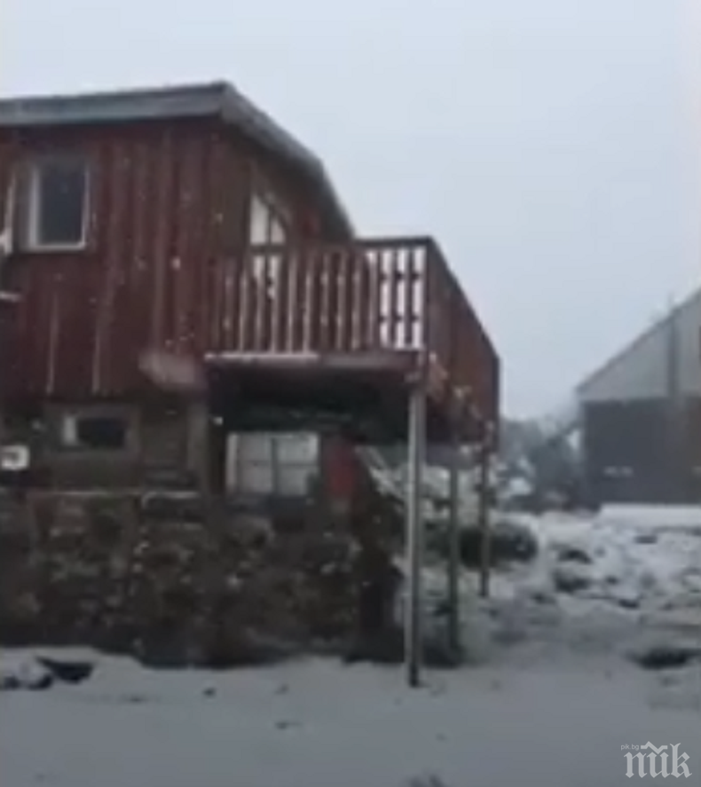 ВРЕМЕТО СЕ ПОБЪРКА След пожарите и жегите сняг заваля в Австралия ВИДЕО Информационна