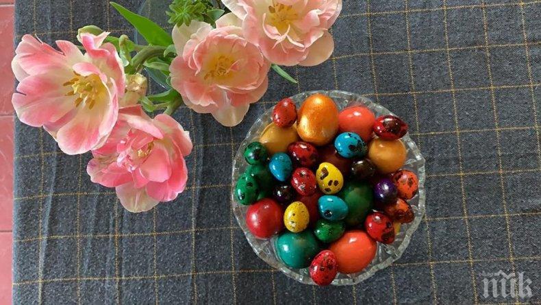 Евродепутатът Андрей Слабаков си показа яйцата СНИМКА Информационна агенция ПИК