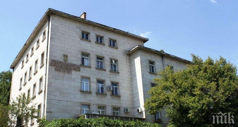 Институтът по лозарство и винарство отчете успешна година