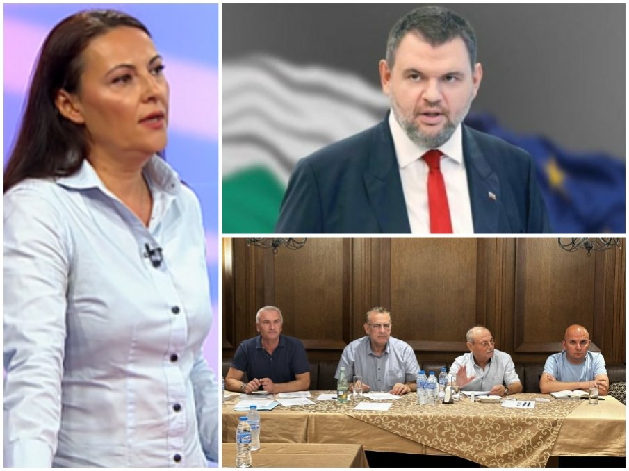 Социолог ошамари крилото на Доган за изключването на Пеевски и хората