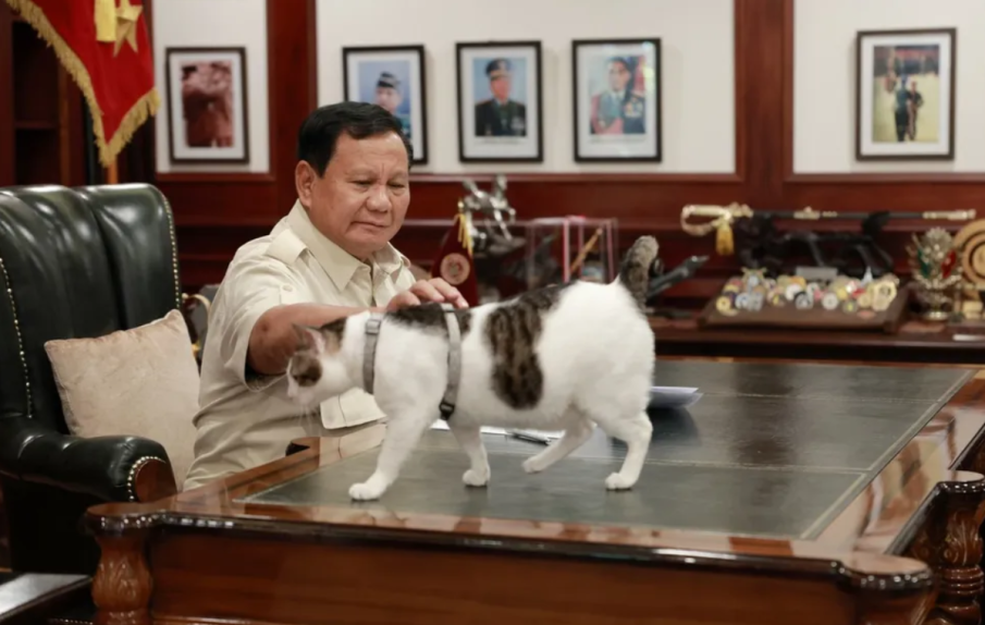 Котаракът Боби домашният любимец на индонезийския президент със