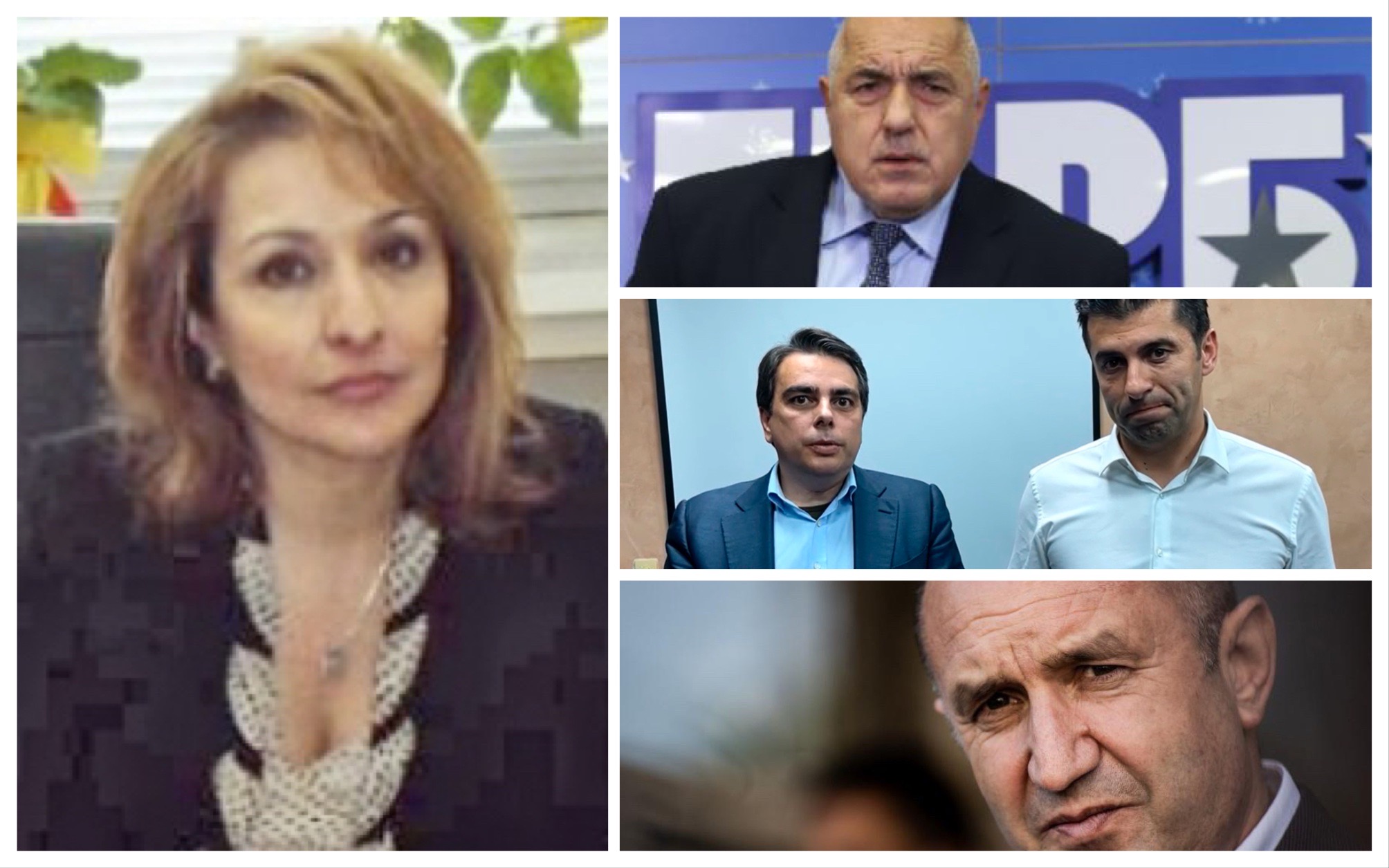 ЕКСКЛУЗИВНО В ПИК Tv Проф Антоанета Христова ГЕРБ играят професионално а ПП са леви