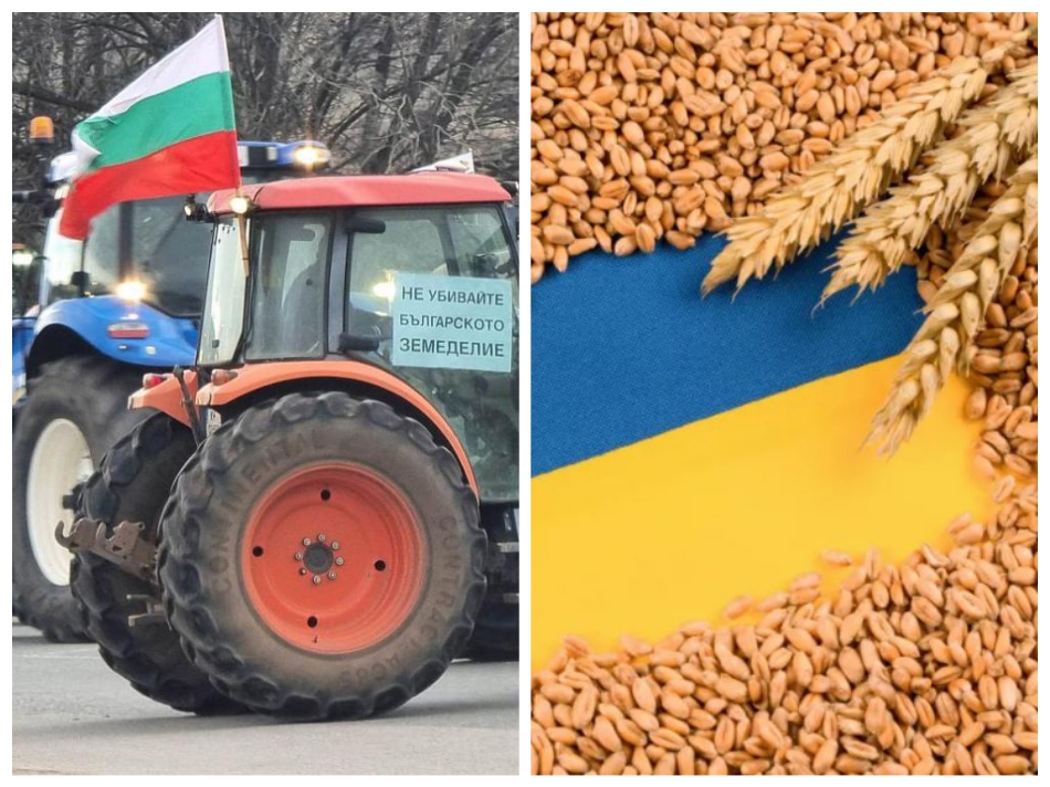УЛТИМАТУМ Зърнопроизводителите искат незабавна среща с финансовия министър иначе протести