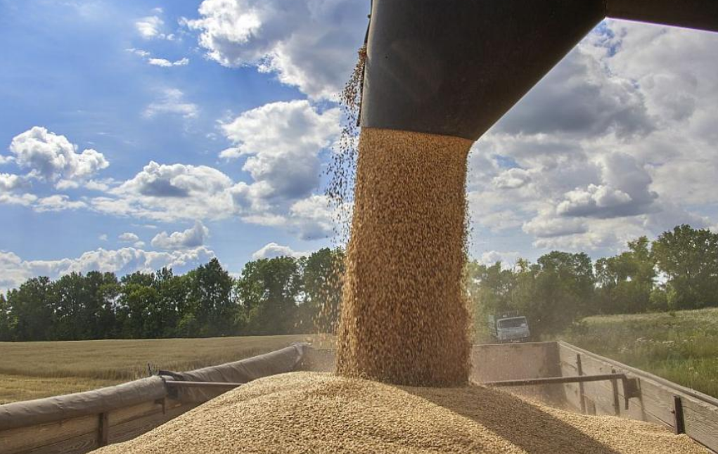 Промените в Закона за земеделските земи ще са в ущърб на над 35 хил