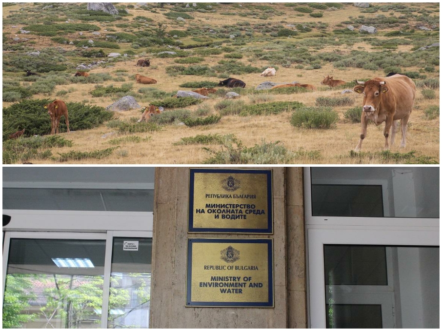 ГЪРМИ НОВА АФЕРА Животновъди пропищяха от зеления октопод в МОСВ природата в опасност заради