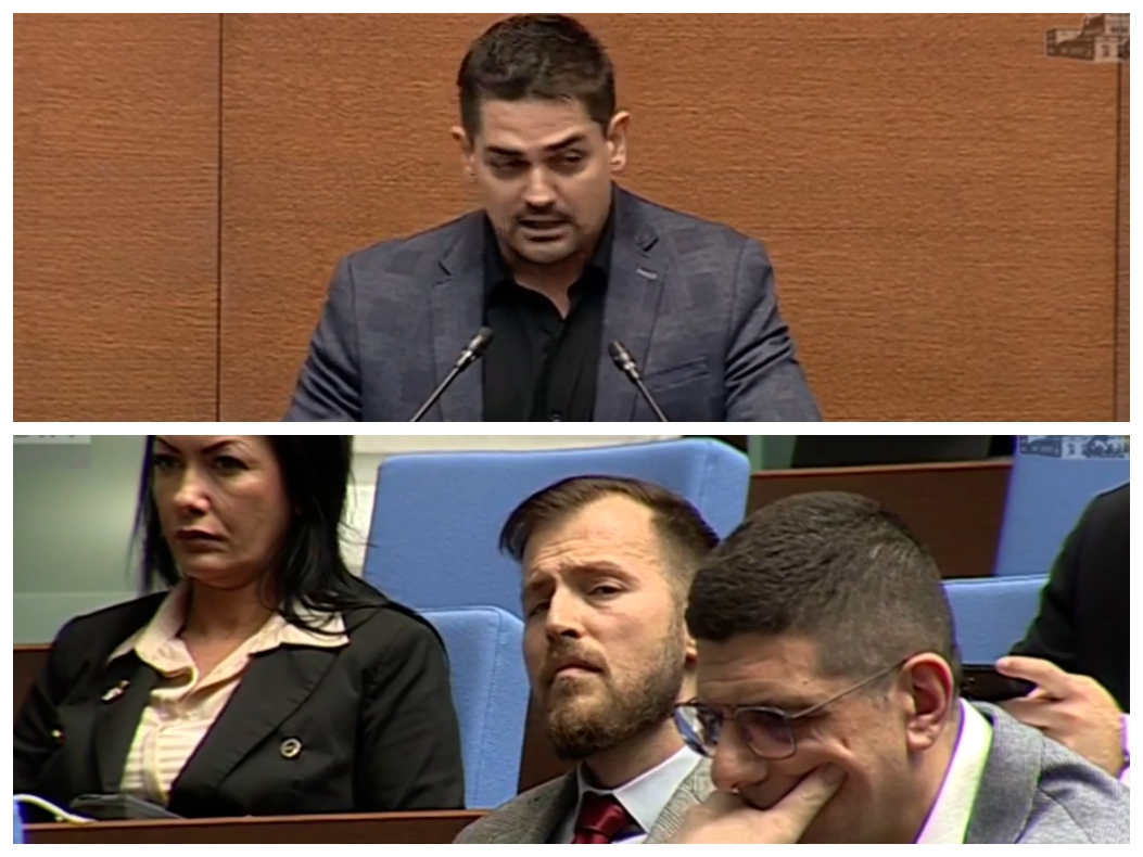 ГОЛЯМ СЕИР В ПАРЛАМЕНТА Руди Гела поиска комисия за психичното здраве