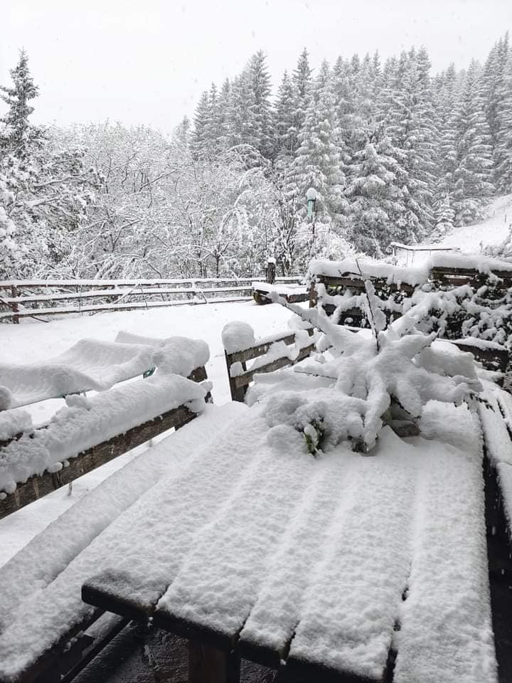 Студеното време не прощава на кожата пазете ръцете краката и лицето си Информационна