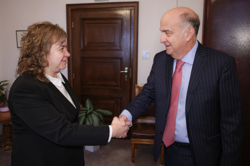 Киселова се срещна с посланика на САЩ изрази съболезнования за загиналите в пожарите