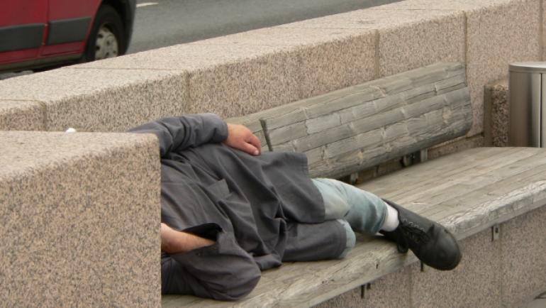 Приютът за бездомни в Пловдив се препълни търсят помощ Информационна агенция ПИК